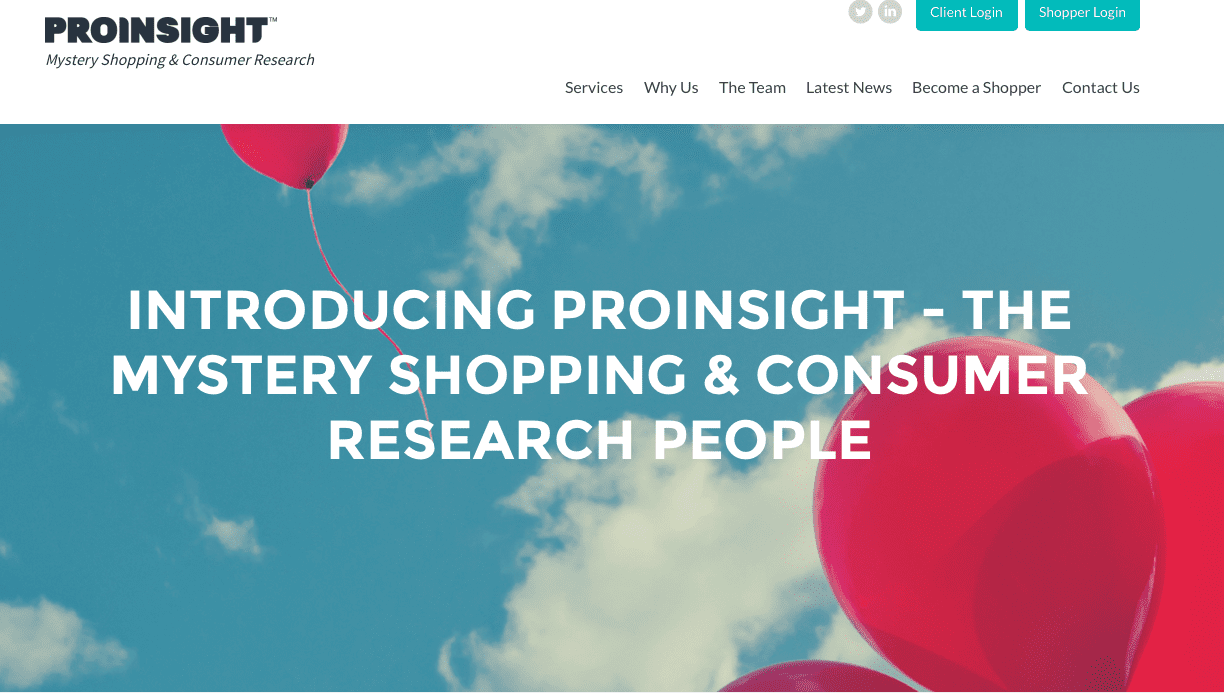 Proinsight unveils new look website - Proinsight