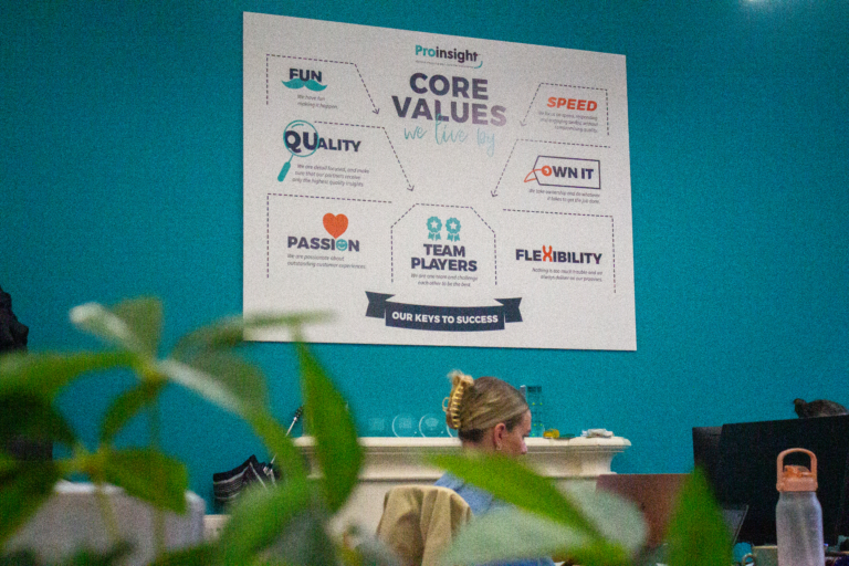 The Proinsight Story