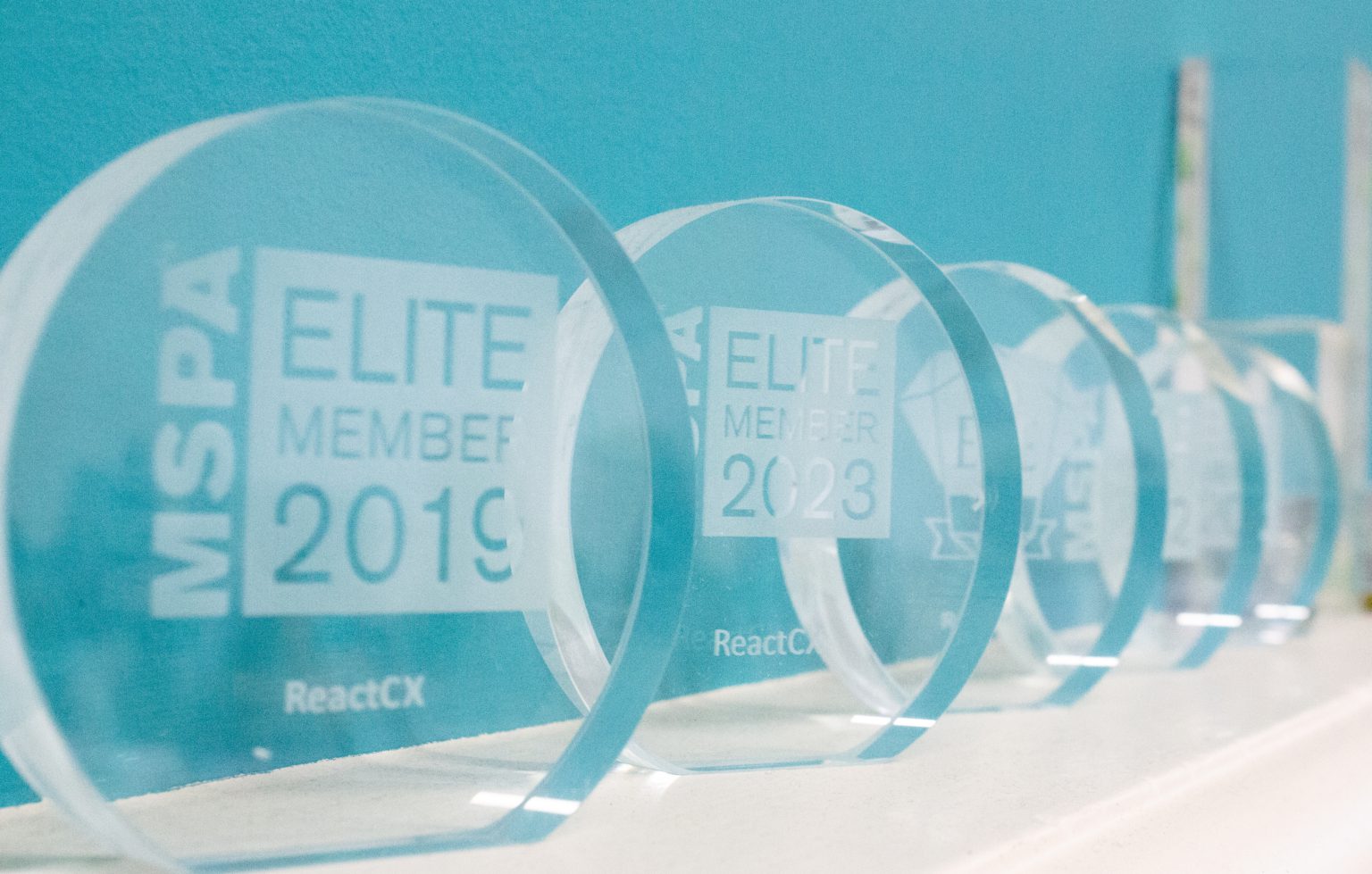 The Proinsight Story